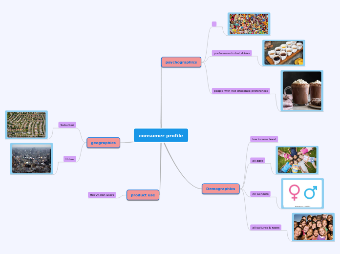 consumer profile - Mind Map